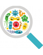 Environment swabbing | Innovation Diagnostics